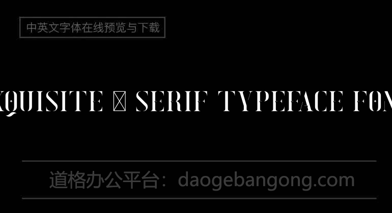 EXQUISITE - SERIF TYPEFACE Font字体-英文字体免费字体下载在线转换-道格办公